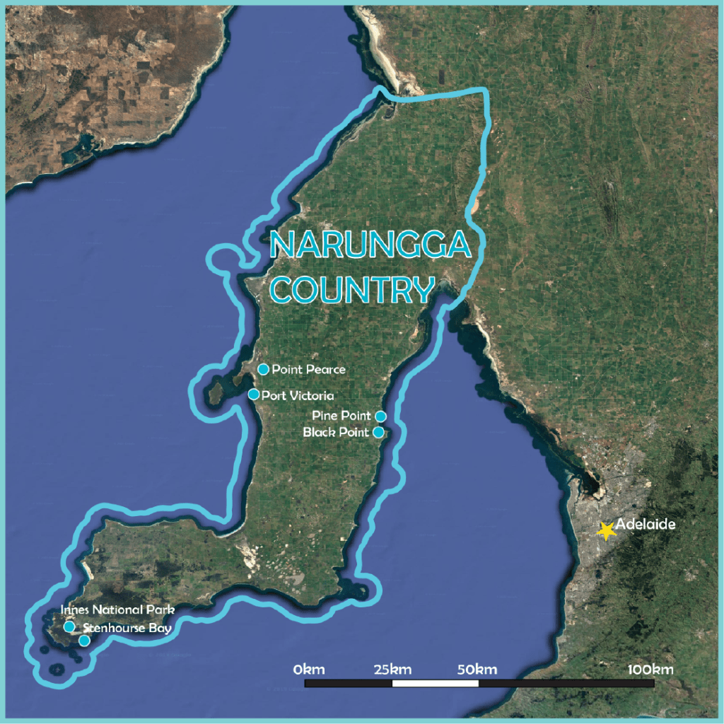 Tour Spots – Aboriginal Cultural Tours, South Australia